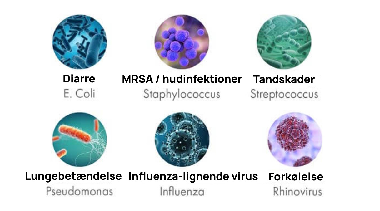 MaximumEfficiency - BrushSan