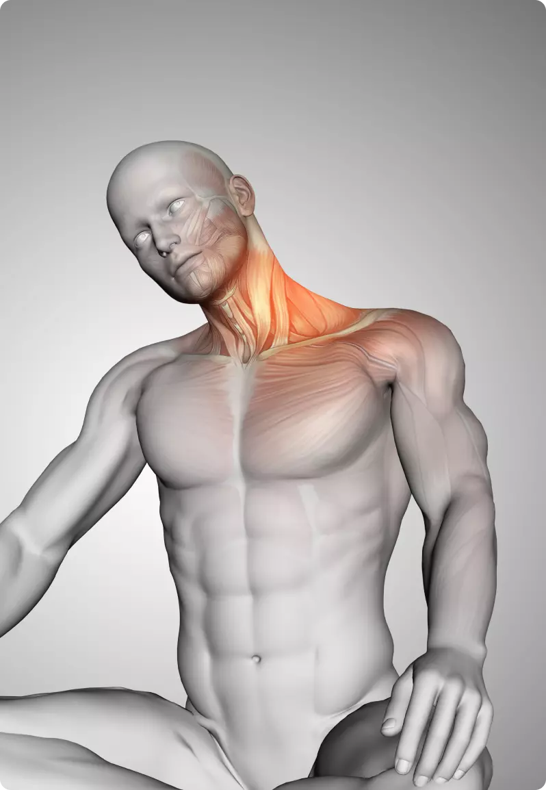 MaximumEfficiency - MuscleAider