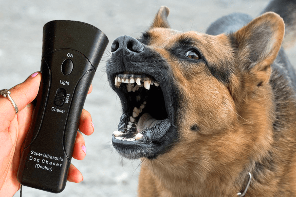 This Simple Device Stops Annoying Dog Barking in Seconds!