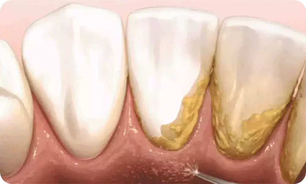 MaximumEfficiency - SonicScale